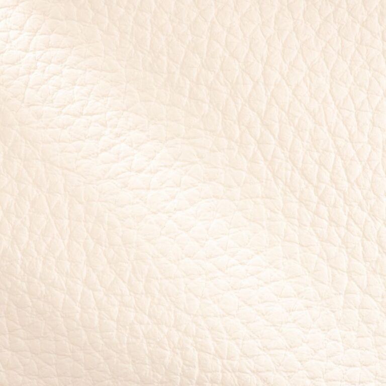 Mont Blanc - CTL Leather