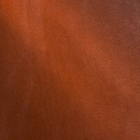 Sienna - CTL Leather