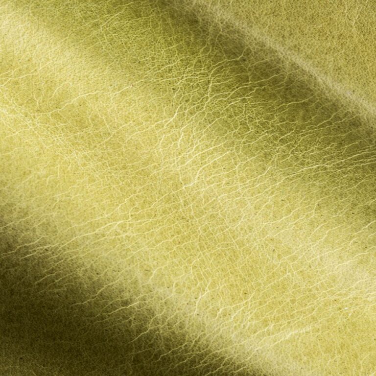 Lime - CTL Leather