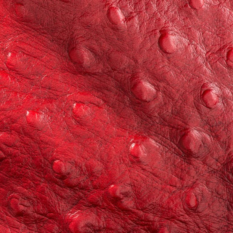 Cardinal Ostrich - CTL Leather