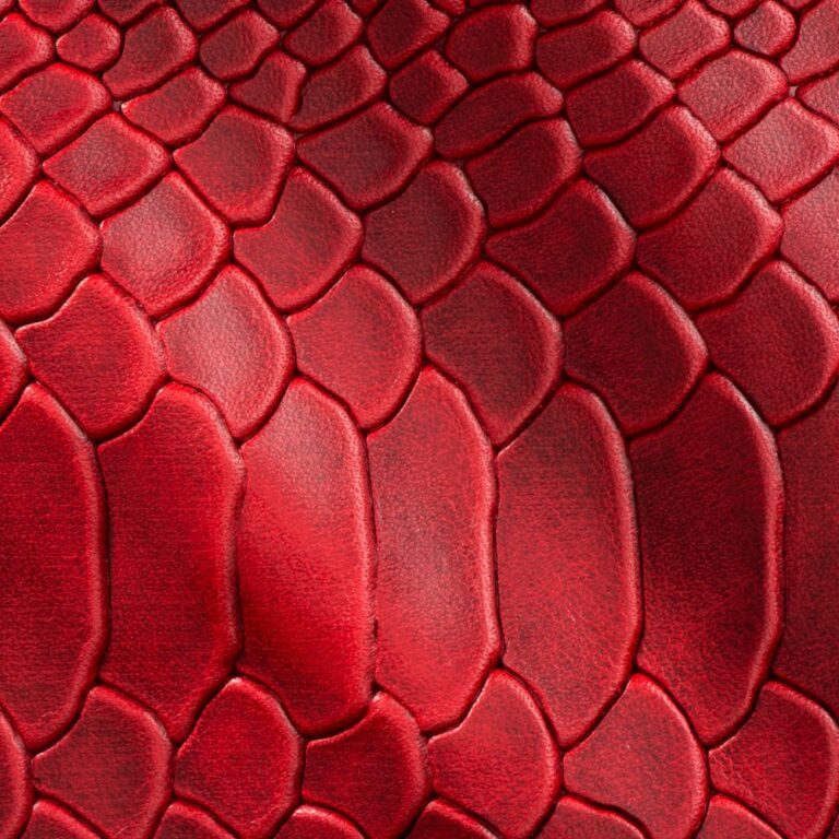 Cardinal Snake - CTL Leather