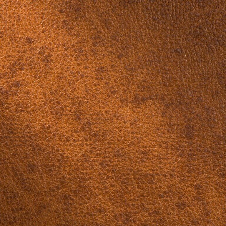 Pale Ale - CTL Leather