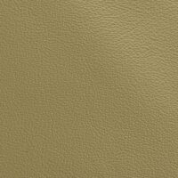 Meridian Archives - CTL Leather