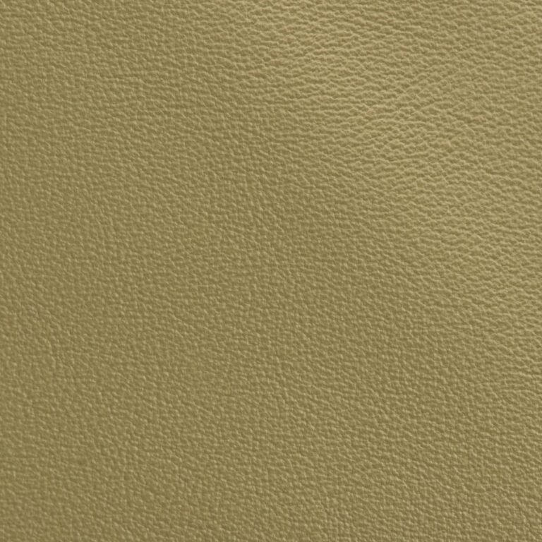 Meridian Archives - CTL Leather