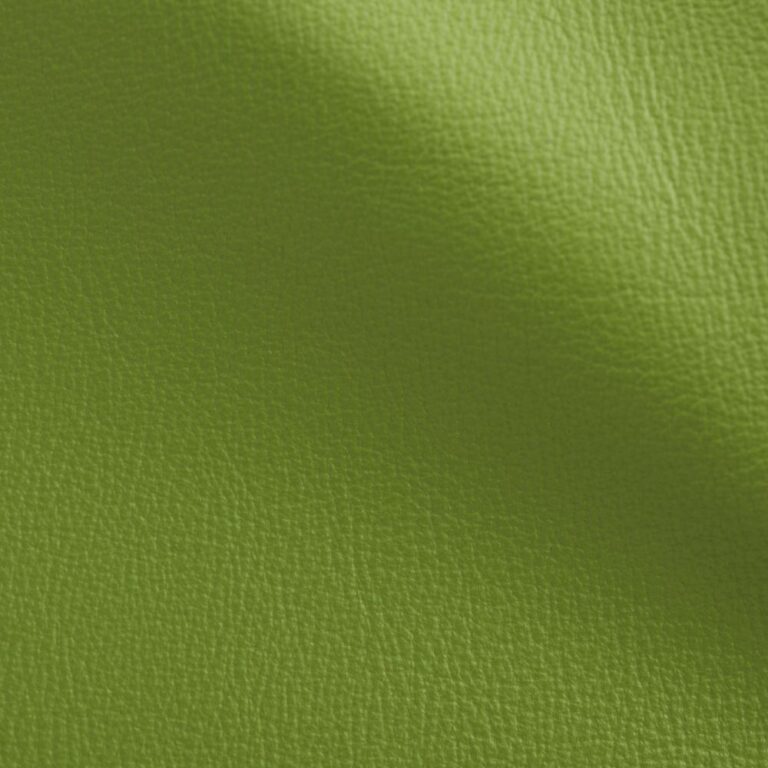 Meridian Archives - CTL Leather