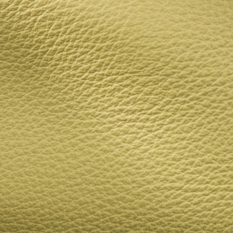 Lime - CTL Leather