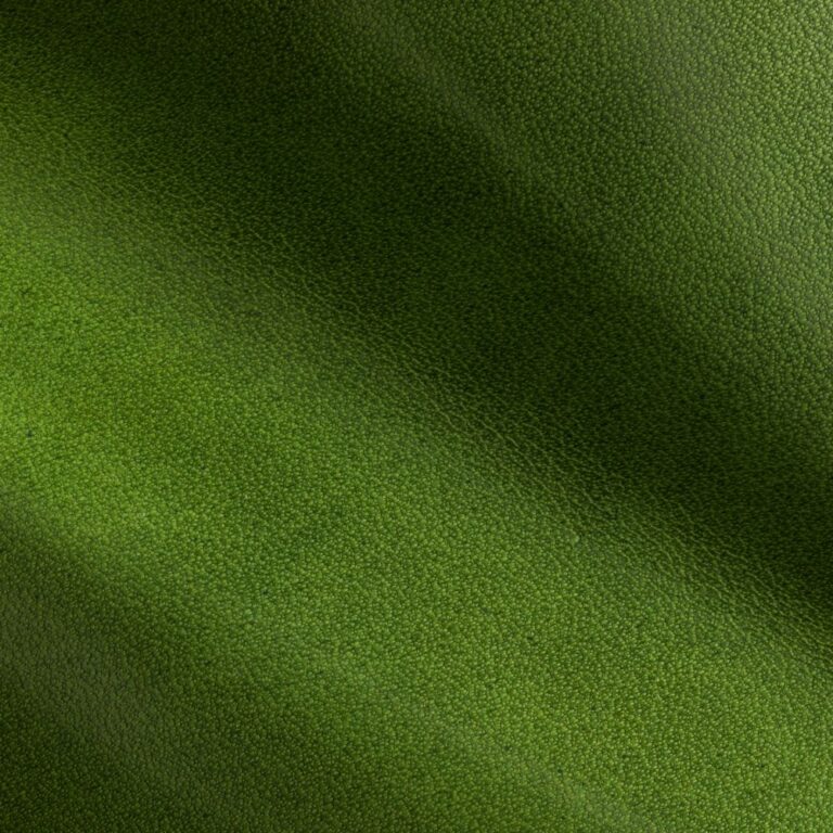 Bamboo - CTL Leather
