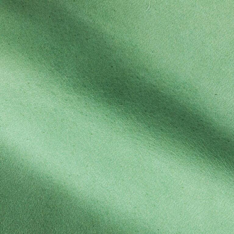 Pistachio - CTL Leather