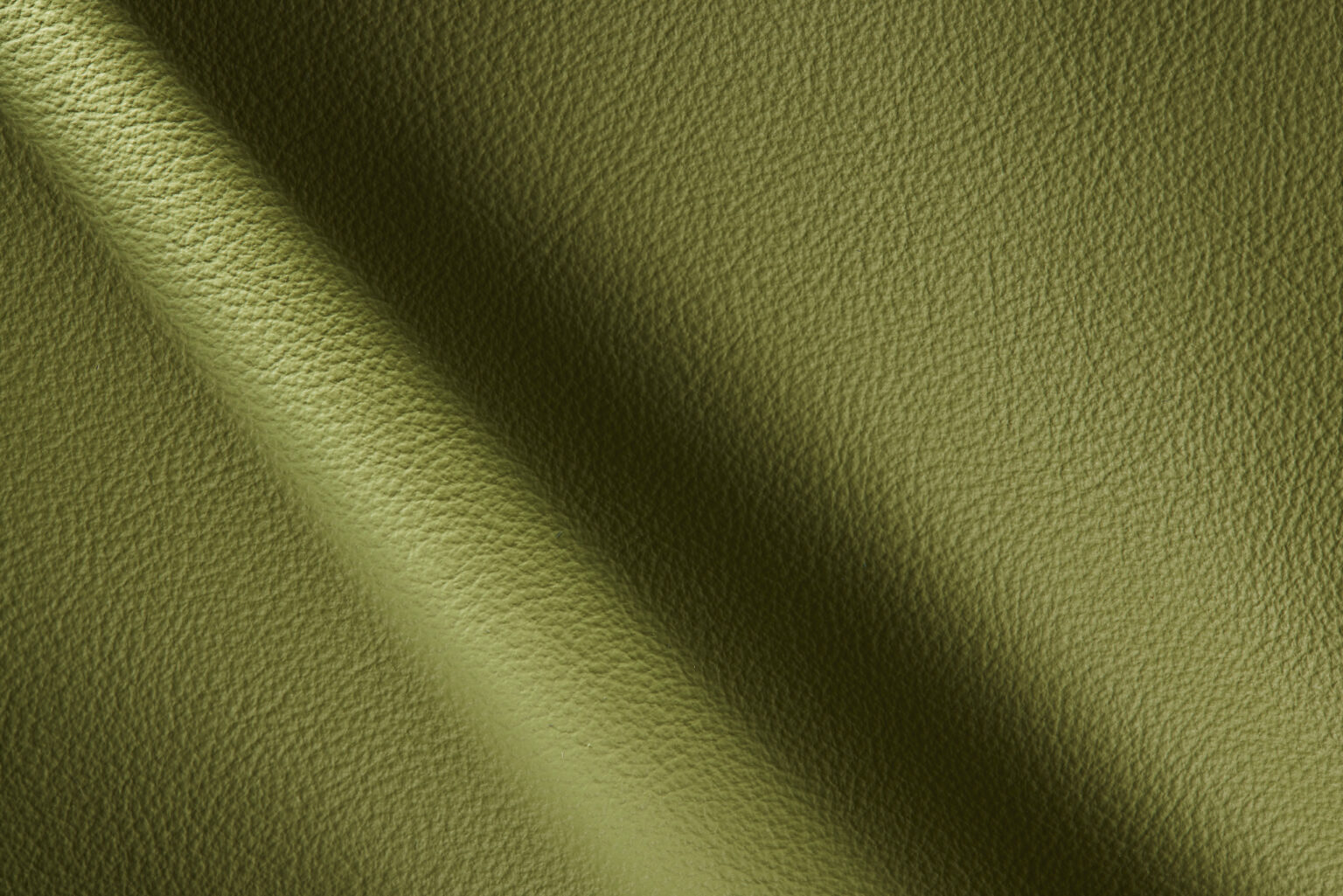 Aloe - CTL Leather