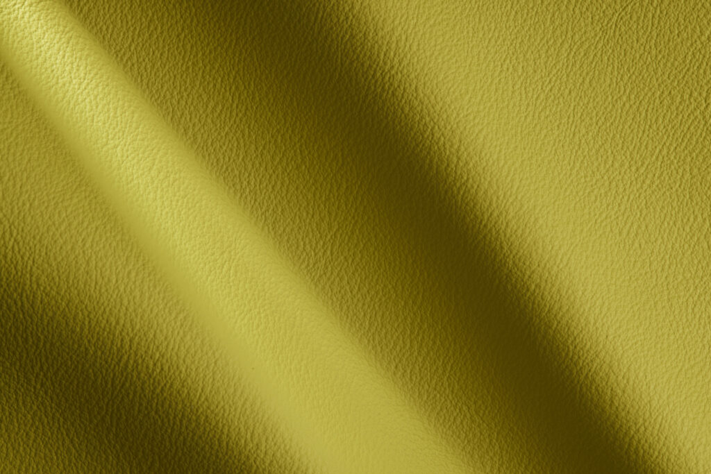 Chartreuse - CTL Leather