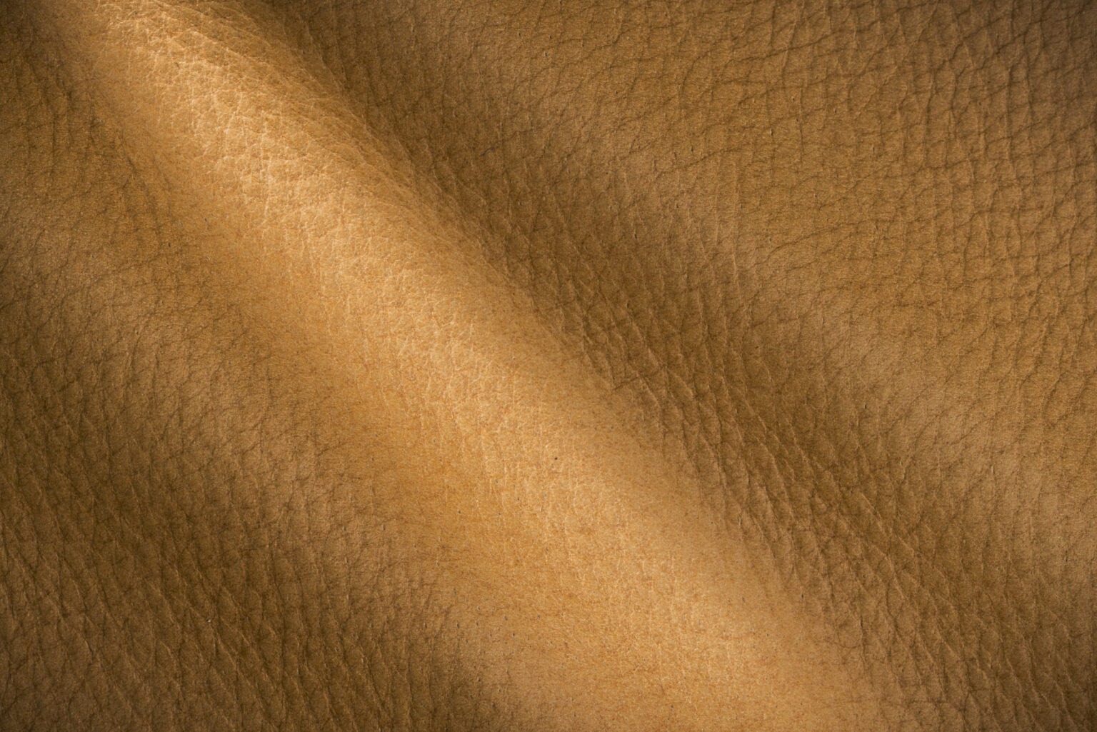 Maize - CTL Leather